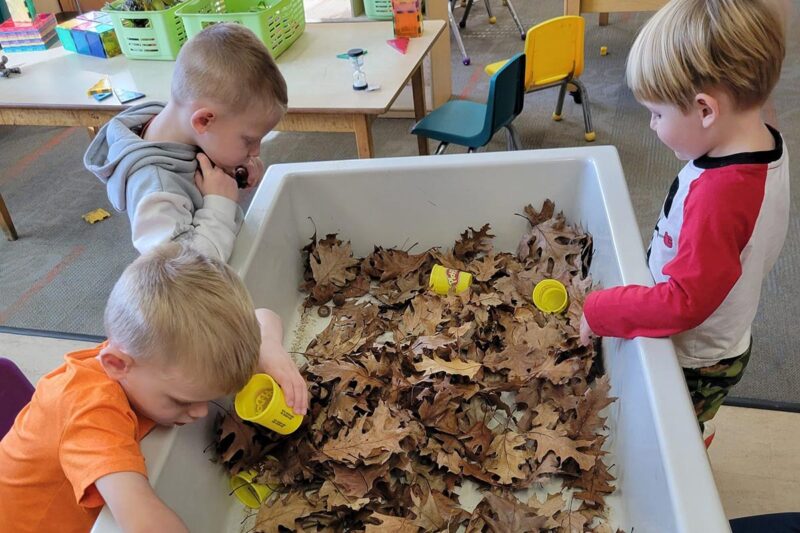 Early Childhood - BGC of Central and Northern New Hampshire